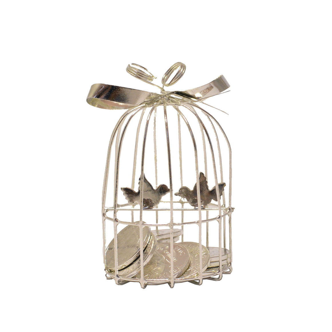 Arrhae Big Cage (Silver) – The Wedding Library